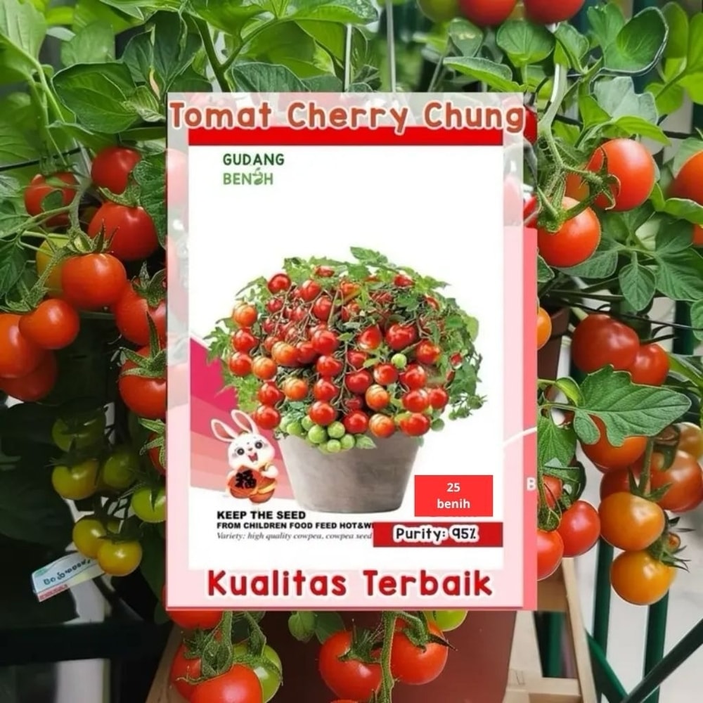 Bibit Tomat Cherry