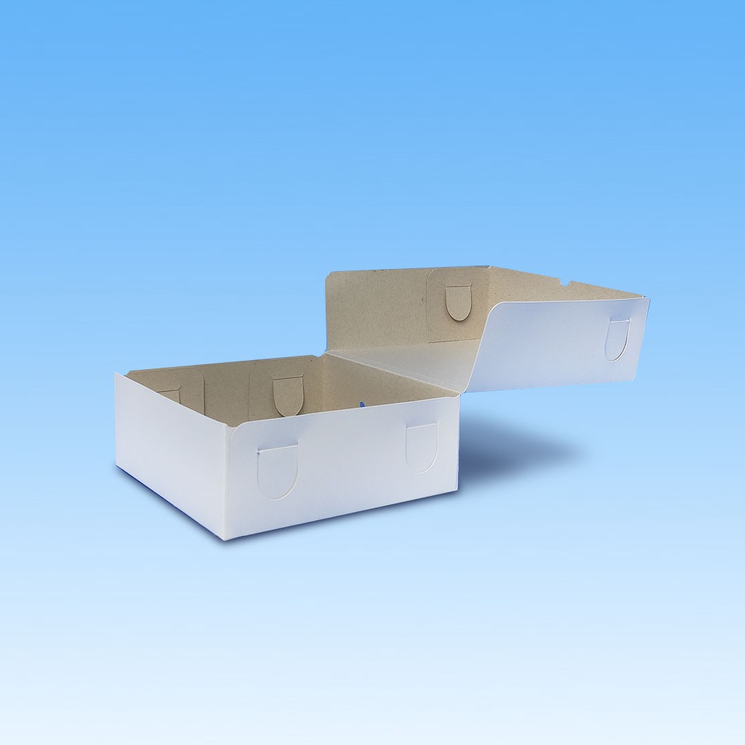 Kotak Nasi Polos 18X18X7 cm - Sambung