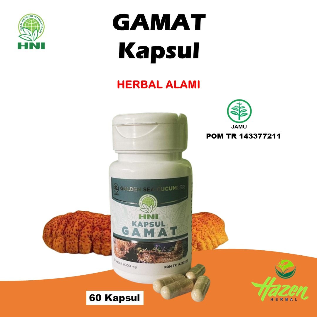 Gamat Kapsul HNI HPAI Ekstrak Teripang Emas Laut Untuk Meredakan Nyeri ...