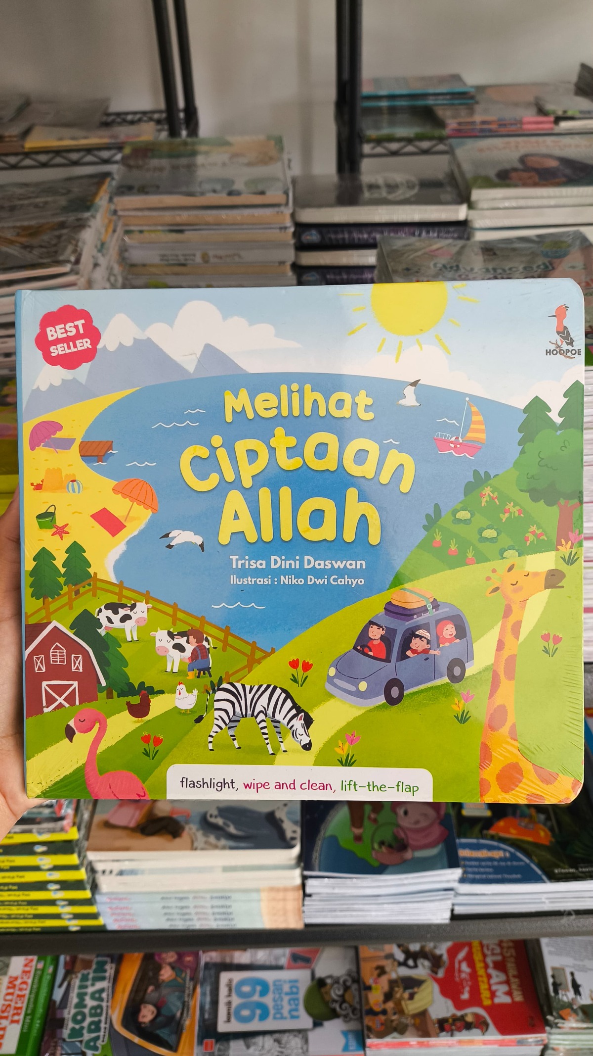 Melihat Ciptaan Allah