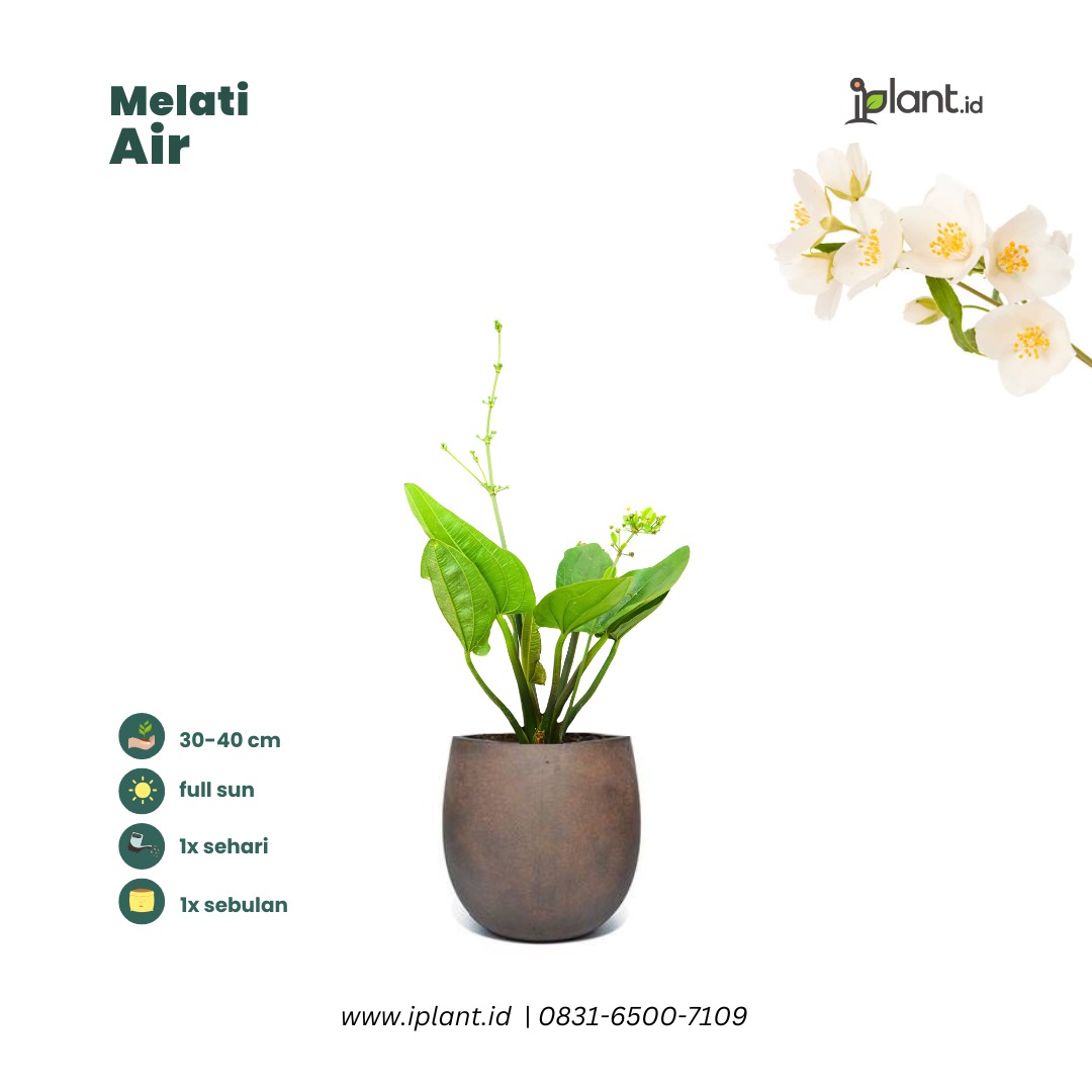 Melati Air