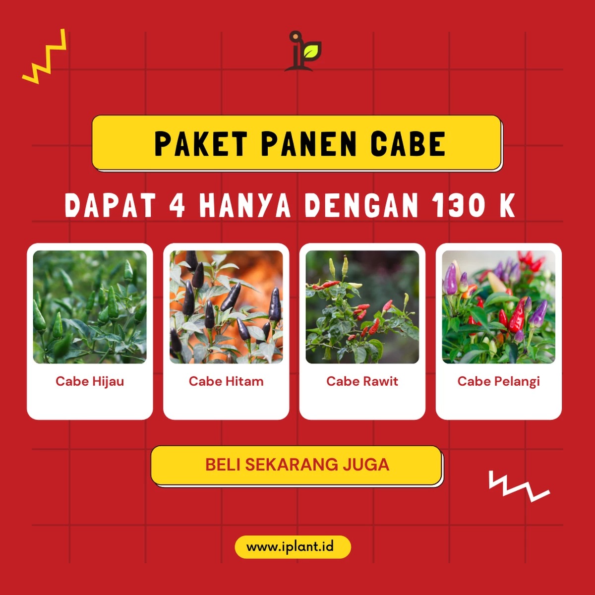 Paket Panen Cabe
