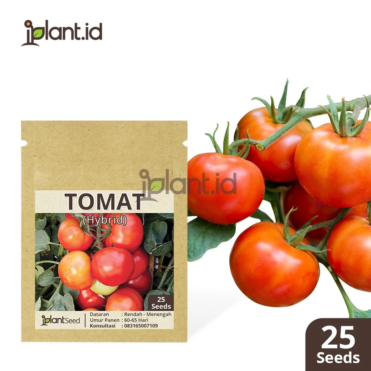 Benih Tomat (Hybrid)