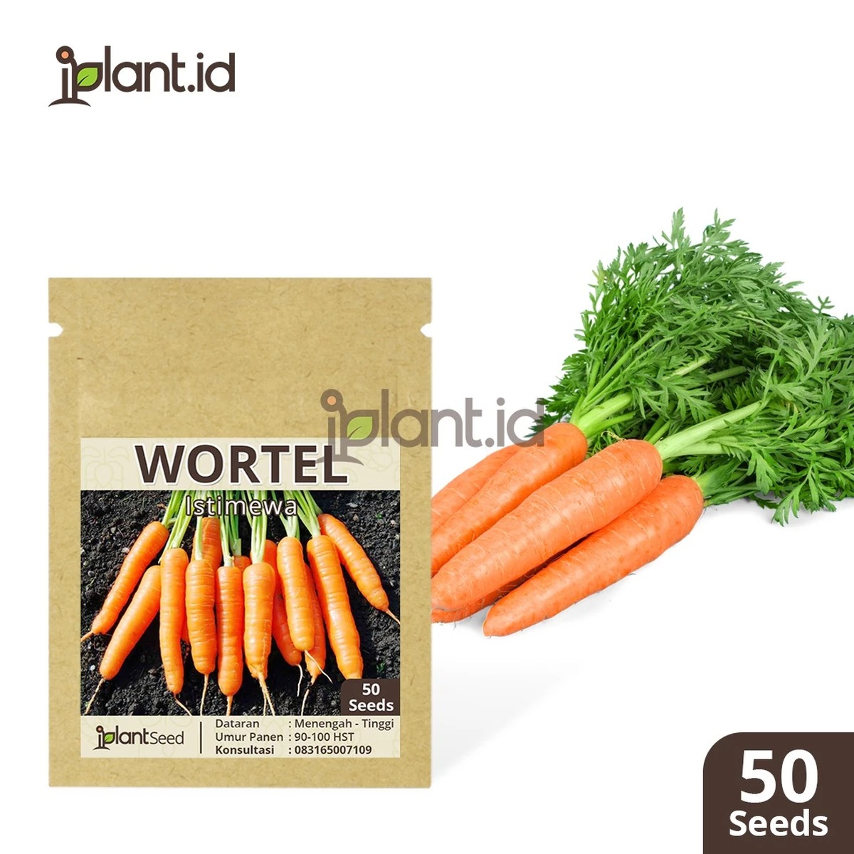 Benih Wortel