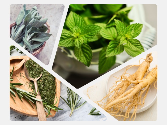 Manfaat Tanaman Herbal