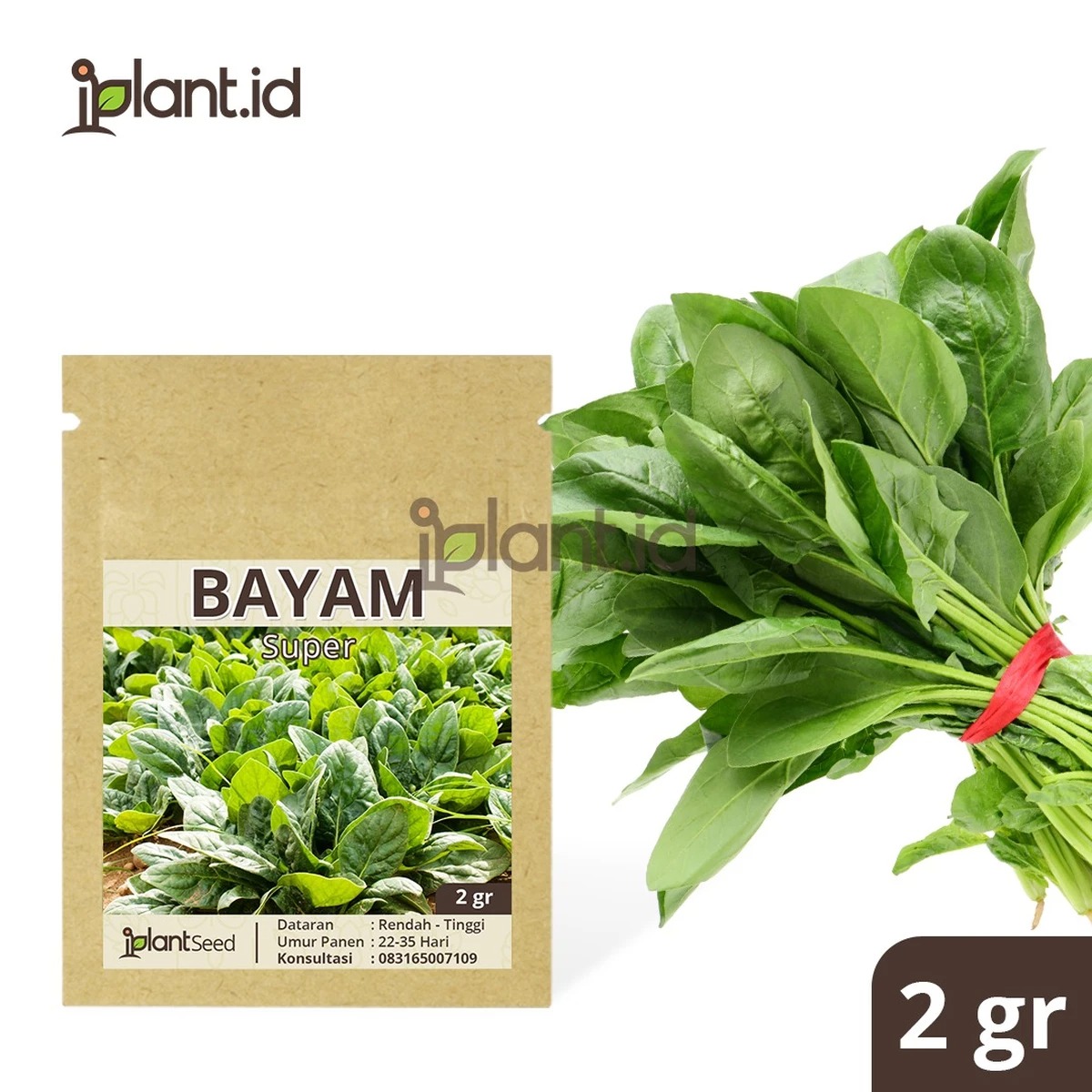 Benih Bayam Impor