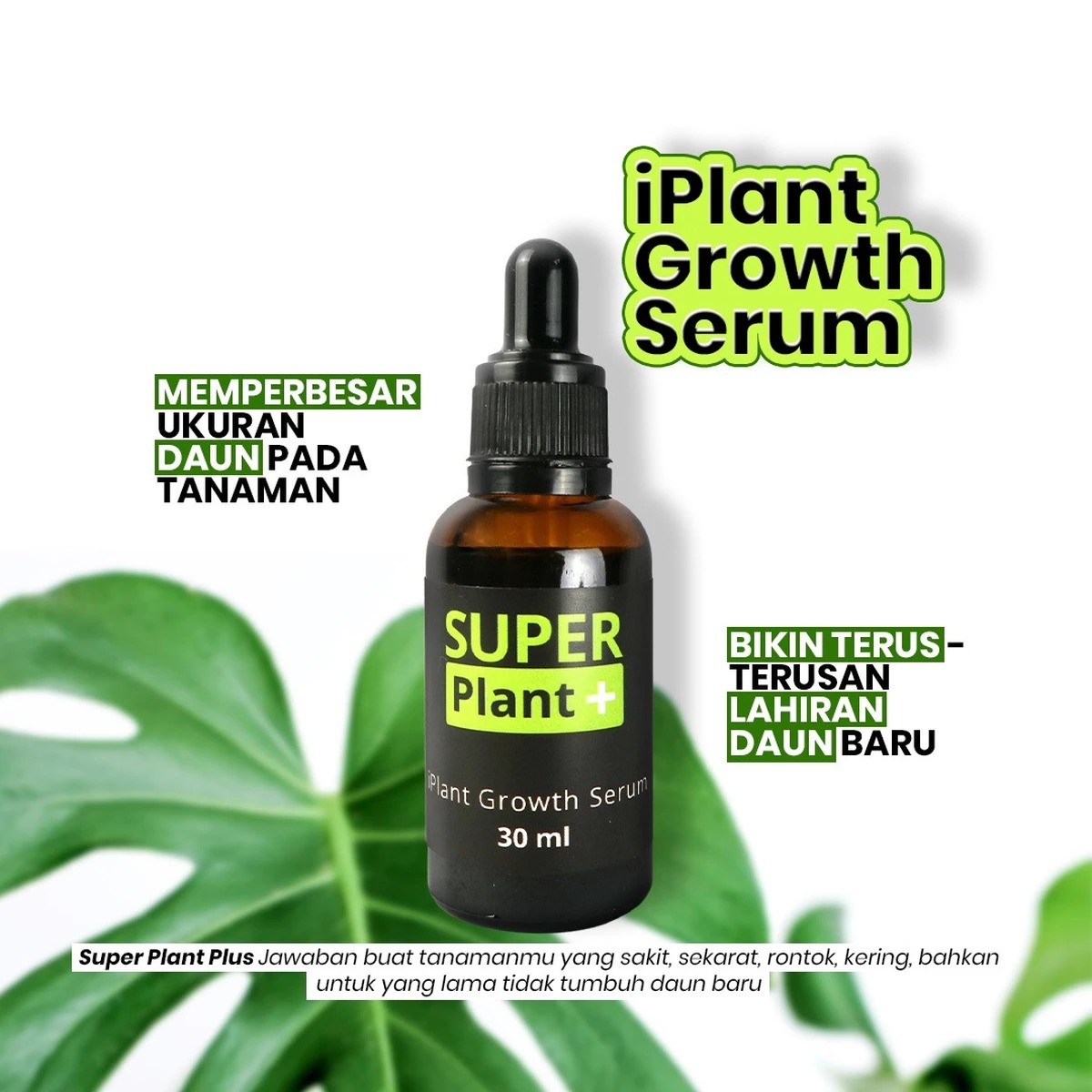 Super Plant Plus | iPlant Growth Serum