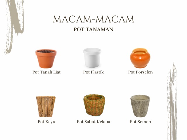 Referensi Fungsi Pot