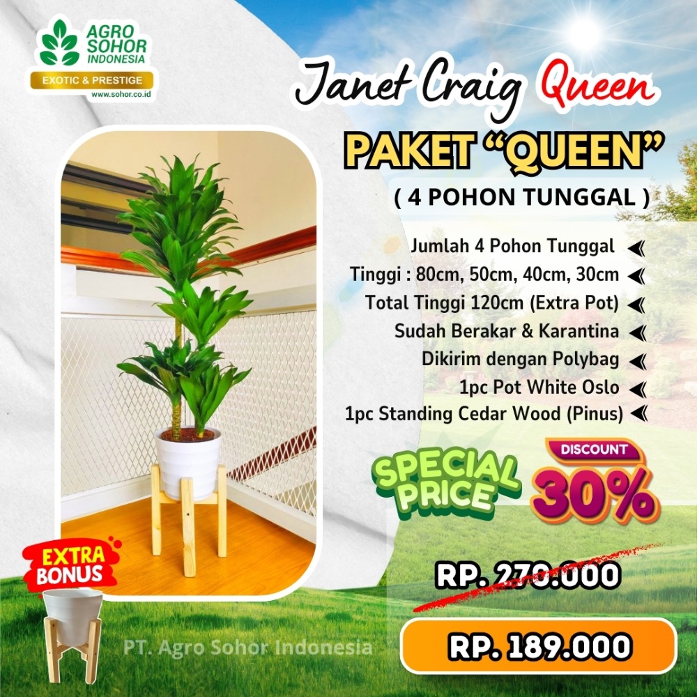 Paket Queen Janet + Standing Pot