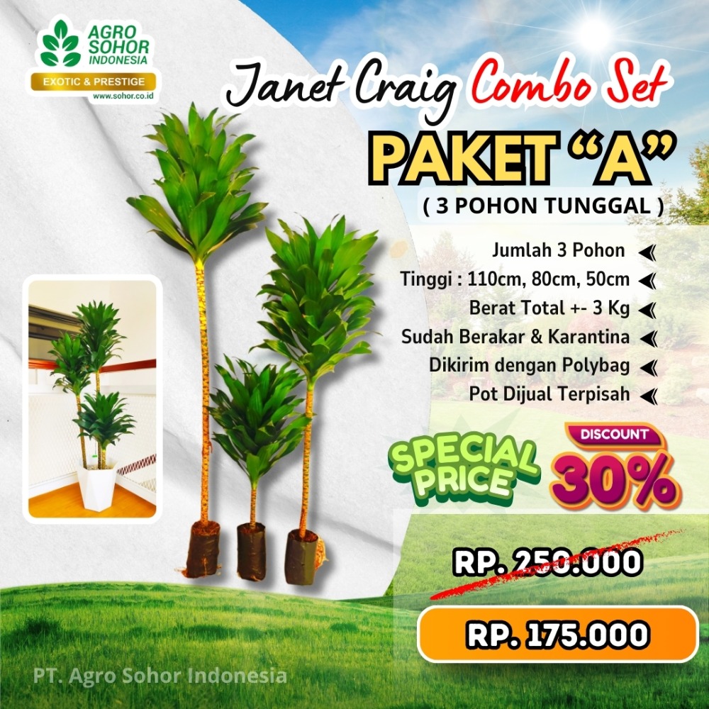 Paket A - 2025 - Janet Combo 3 Set (110cm)