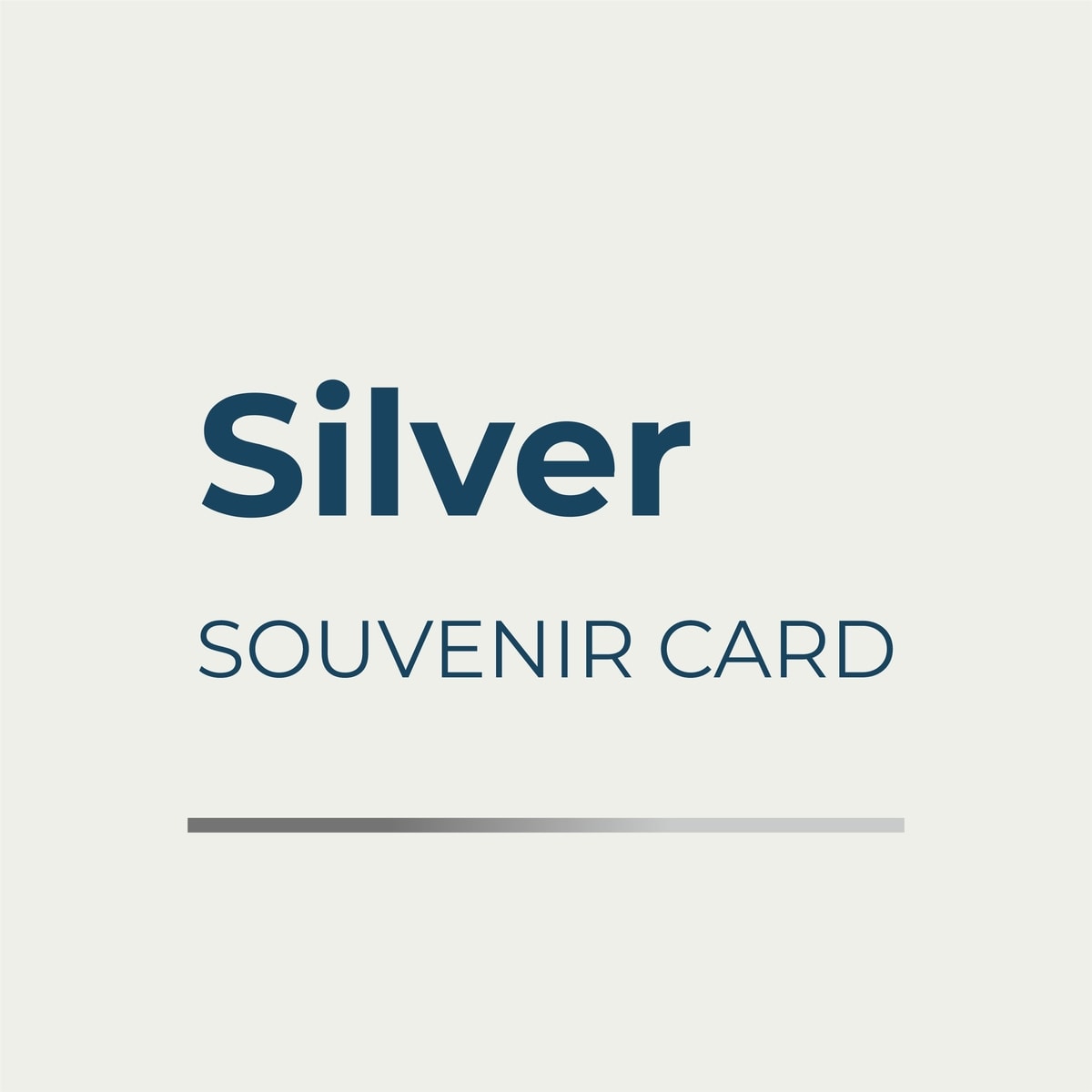 SILVER SOUVENIR CARD