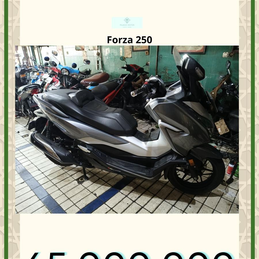 HONDA FORZA 250 2019 second