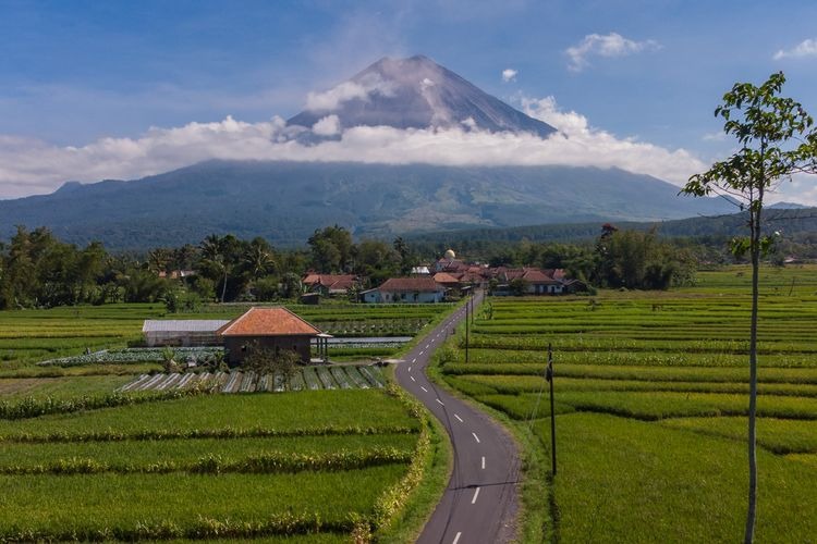 Wisata Pronojiwo Lumajang: Keindahan Alam, Petualangan Seru, dan ...