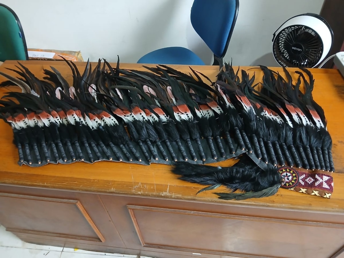 War Bonnet Top Apache