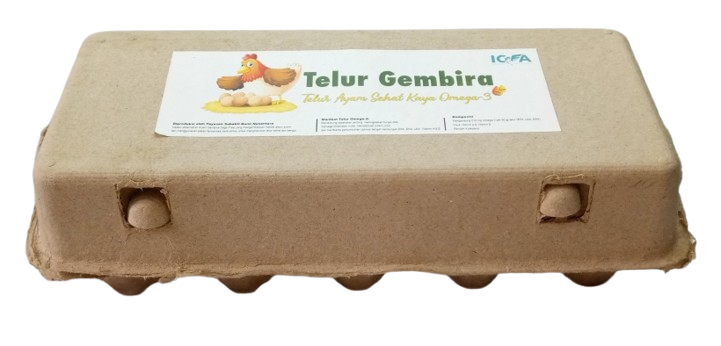 Telur Omega 10-Pack