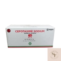 Flamicort 10 mg/mL – Triamcinolone Acetonide Injeksi