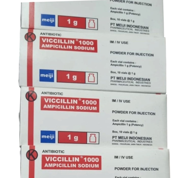 Viccillin 1000 Ampicillin Sodium 1g – Antibiotik Suntik Injeksi IM/IV ...