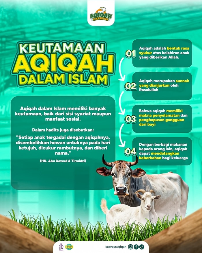 Aqiqah atau Akikah: Mana yang Benar? (Panduan Lengkap 2025)